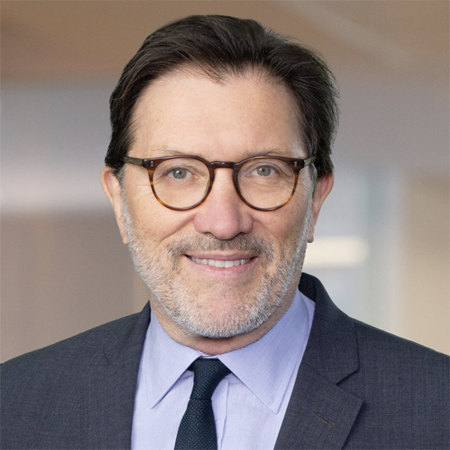 Gareth Rees KC | Great British Moderators